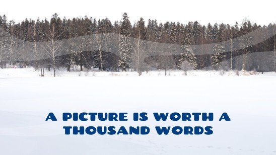 Minitema de osos polares | Google Slides y PowerPoint