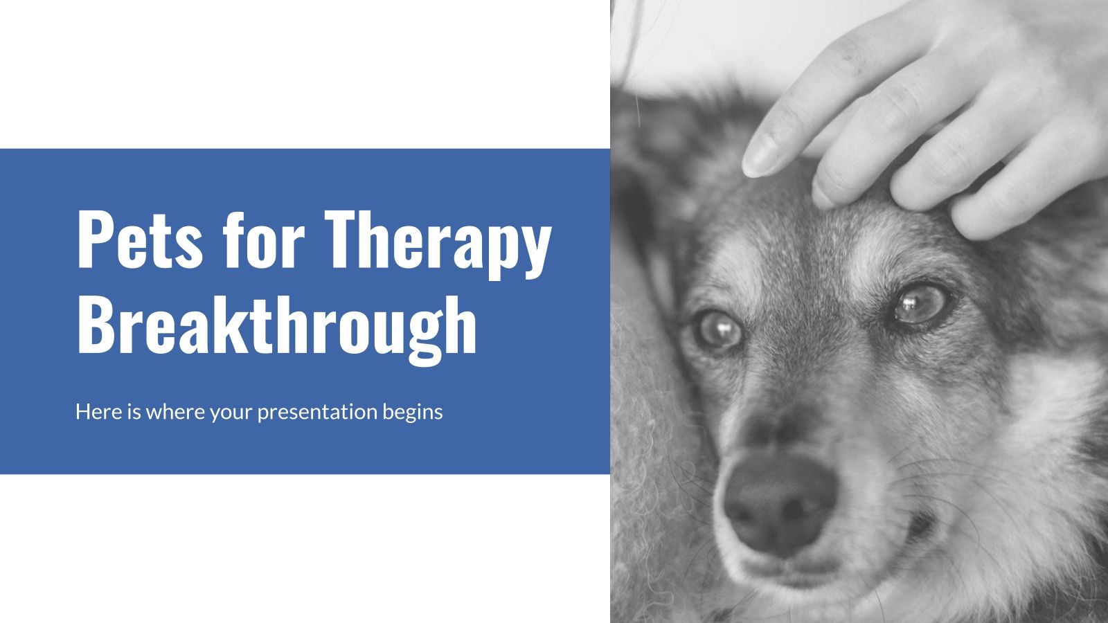 Modèles gratuits Google Slides et PowerPoint d’animaux