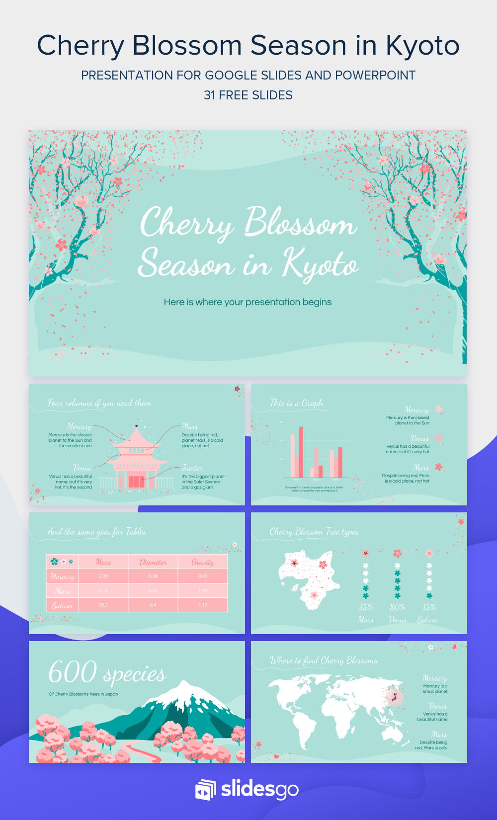 Cherry Blossom Season in Kyoto | Google Slides and PPT theme
