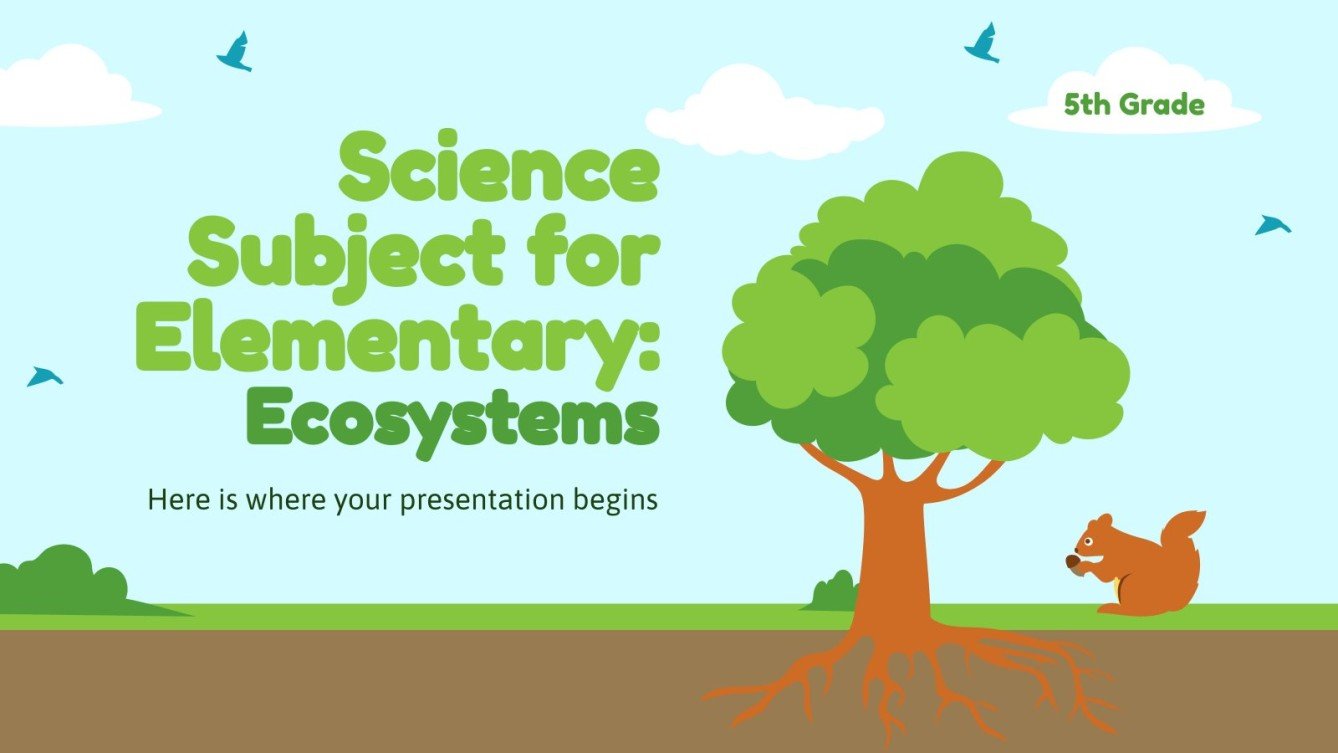 Science Subject for Elementary - 5th Grade: Ecosystems