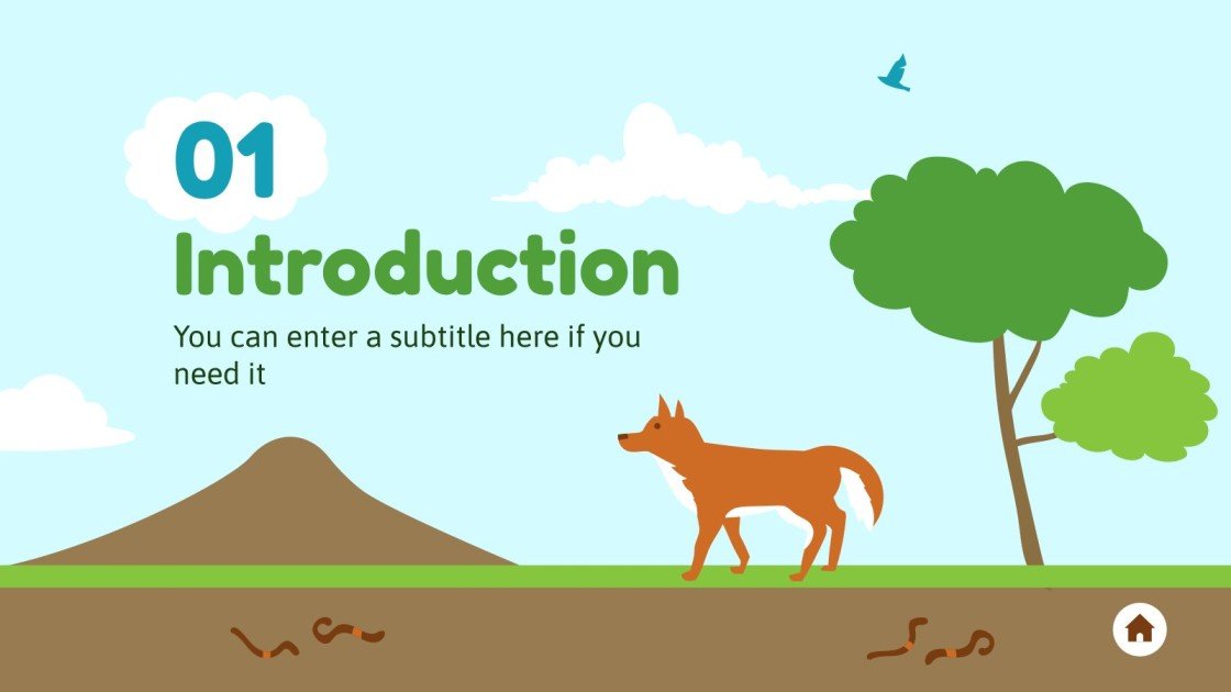 Science Subject for Elementary - 5th Grade: Ecosystems