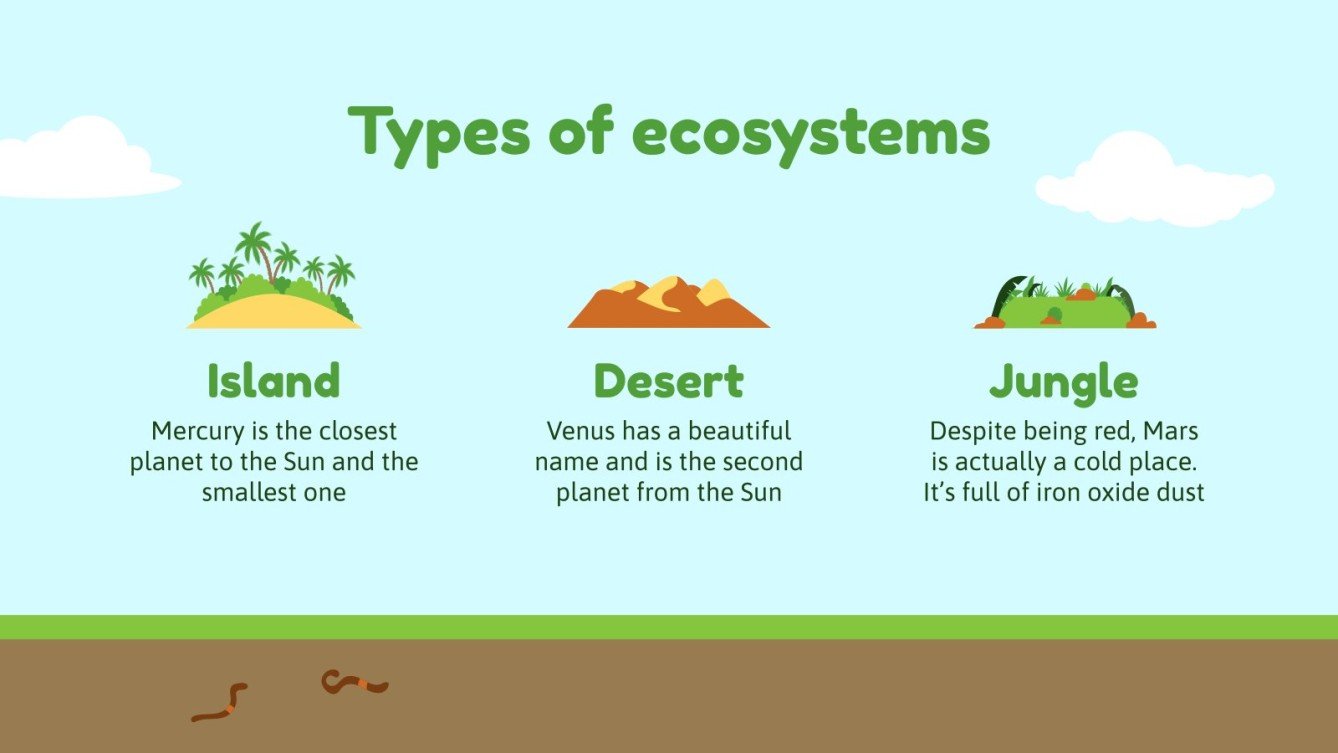 Science Subject for Elementary - 5th Grade: Ecosystems