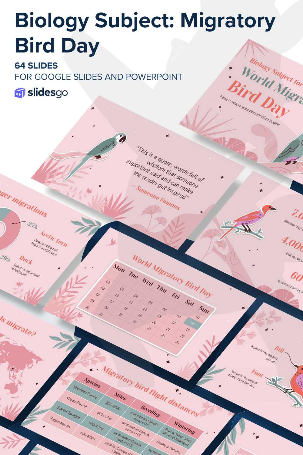 Biology: World Migratory Bird Day | Google Slides