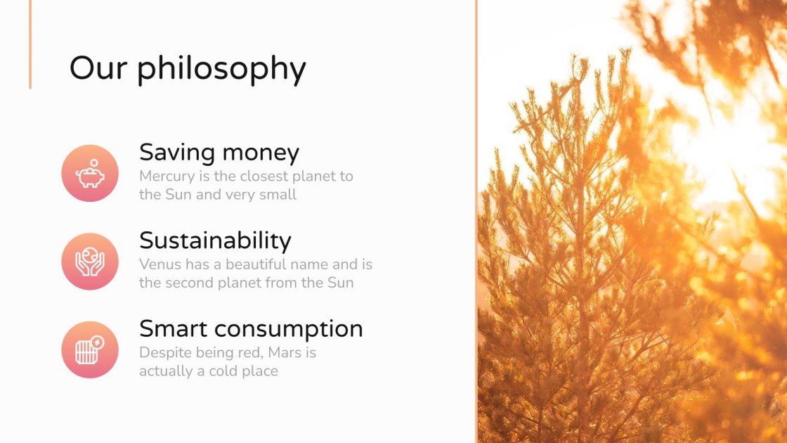 Solar Power Company Profile | Google Slides & PowerPoint