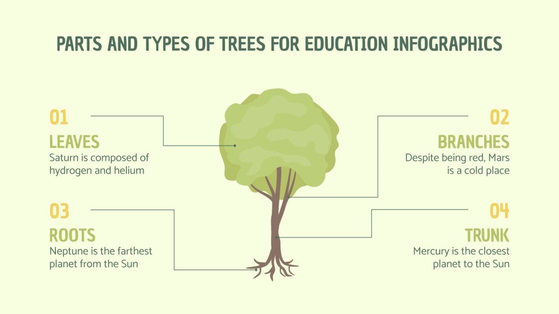 Parts And Types Of Trees For Education Infographics