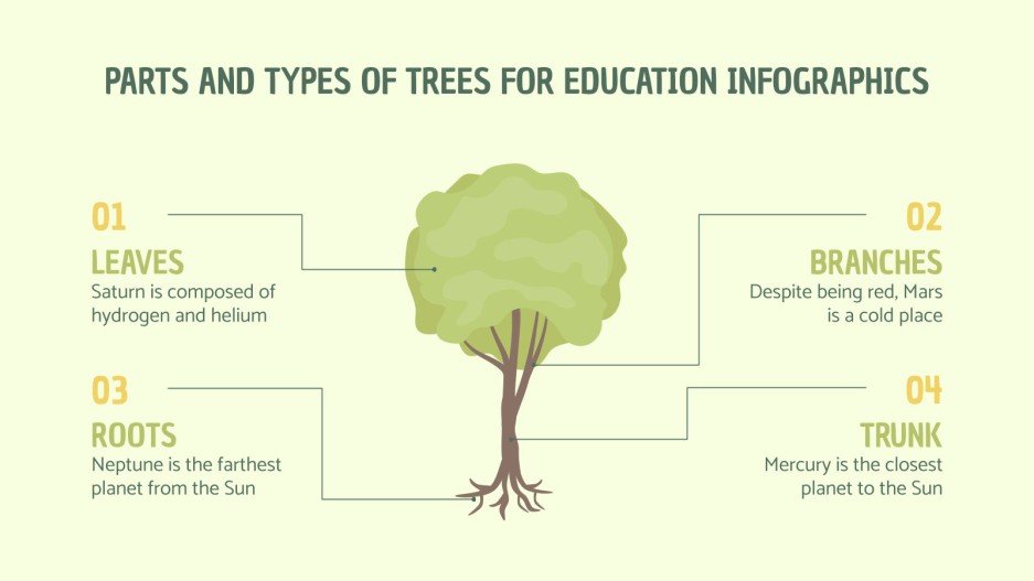 Parts & Types of Trees for Education Infographics