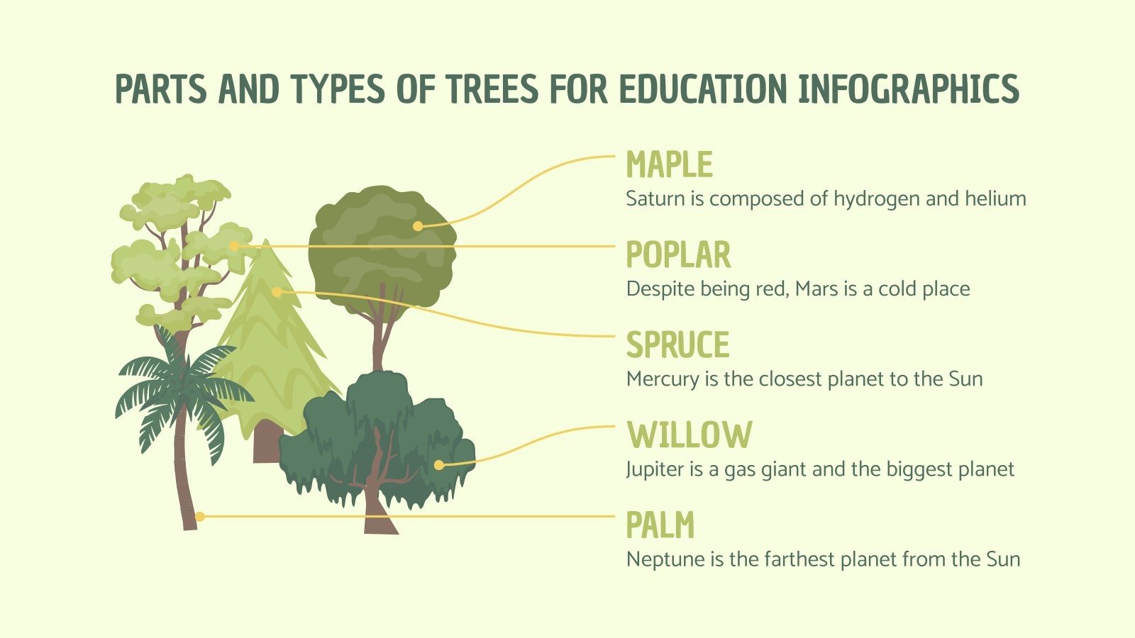 Parts & Types of Trees for Education Infographics