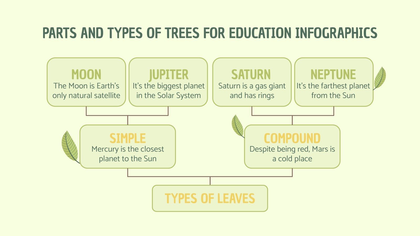 Parts & Types of Trees for Education Infographics