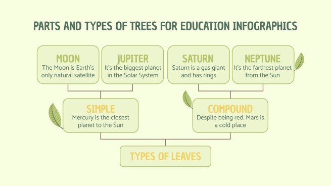 Infographies de leçon sur les types d'arbres et leurs parties