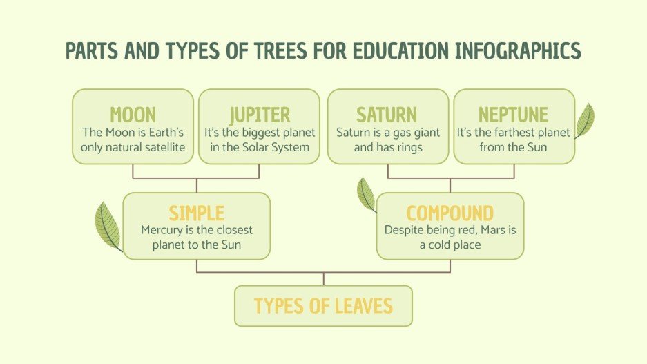 Parts & Types of Trees for Education Infographics