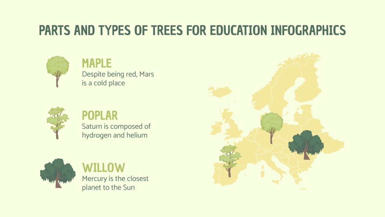 Parts & Types of Trees for Education Infographics