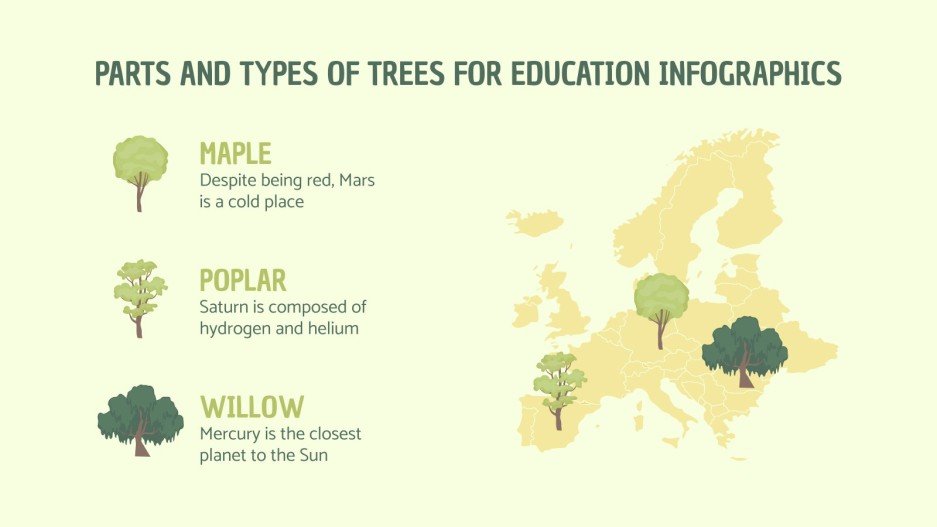 Infographies de leçon sur les types d'arbres et leurs parties