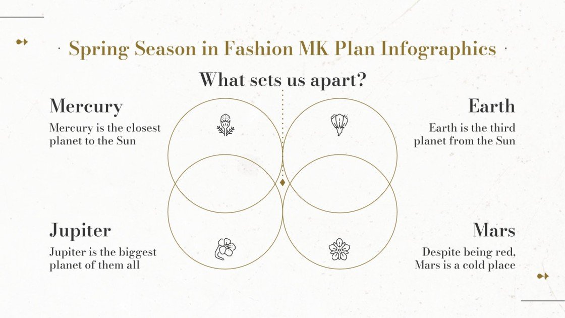 Spring Season in Fashion MK Plan Infographics