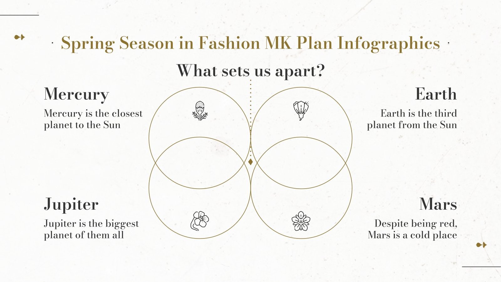 Spring Season in Fashion MK Plan Infographics