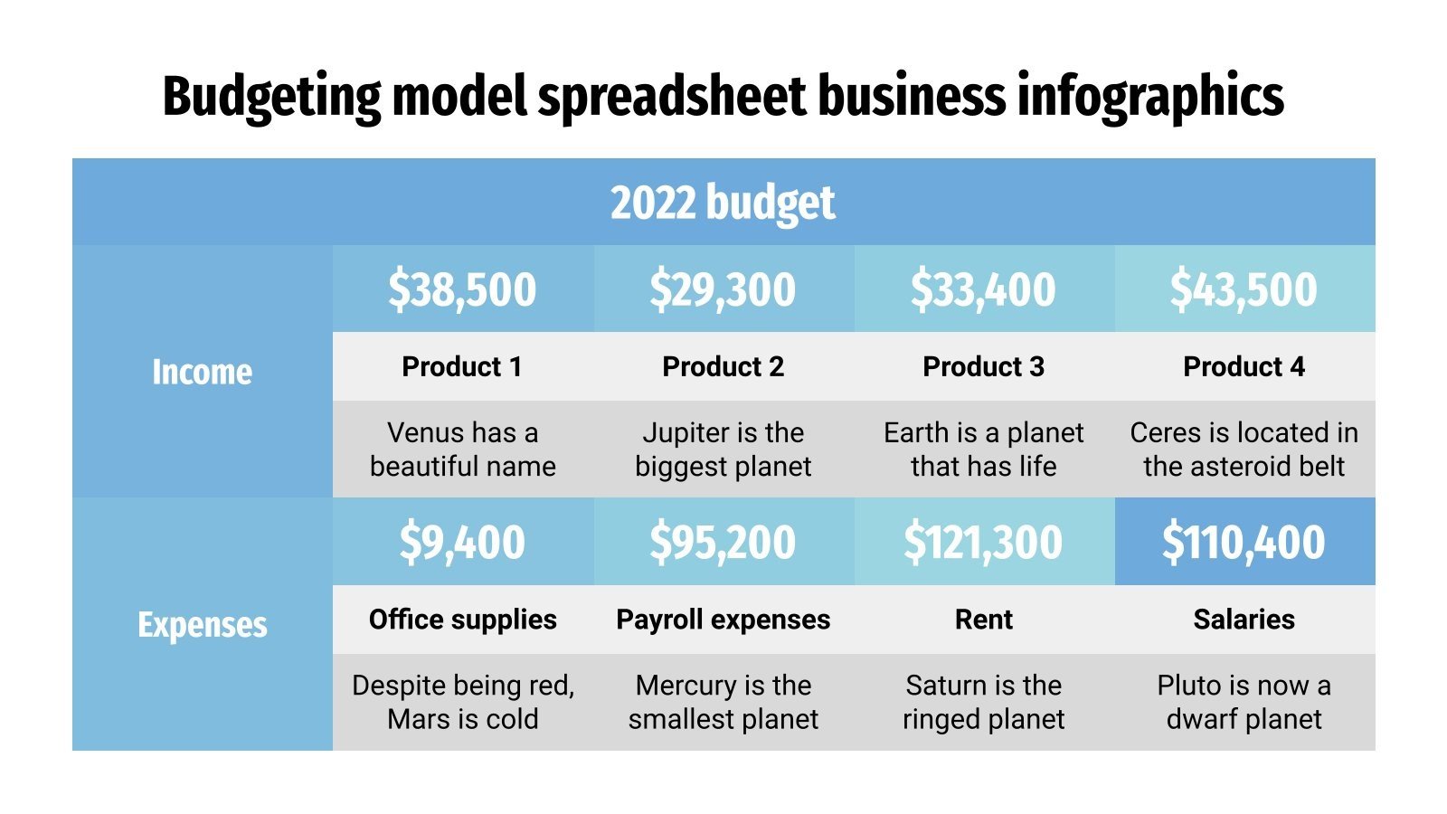 Budgeting Model Spreadsheet Business Infographics