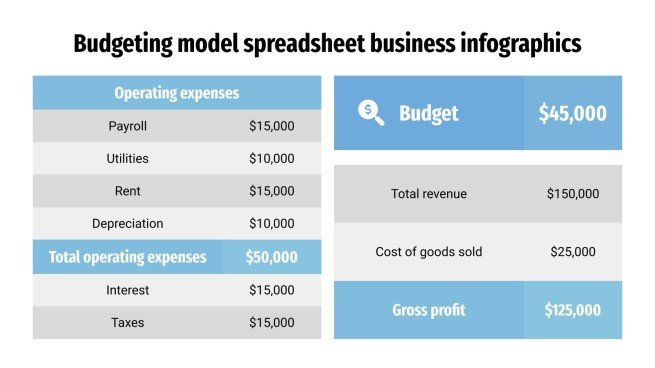 Budgeting Model Spreadsheet Business Infographics
