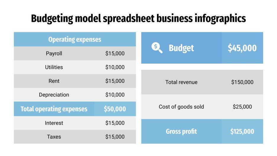 Budgeting Model Spreadsheet Business Infographics
