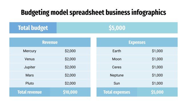 Budgeting Model Spreadsheet Business Infographics