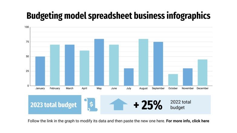 Budgeting Model Spreadsheet Business Infographics
