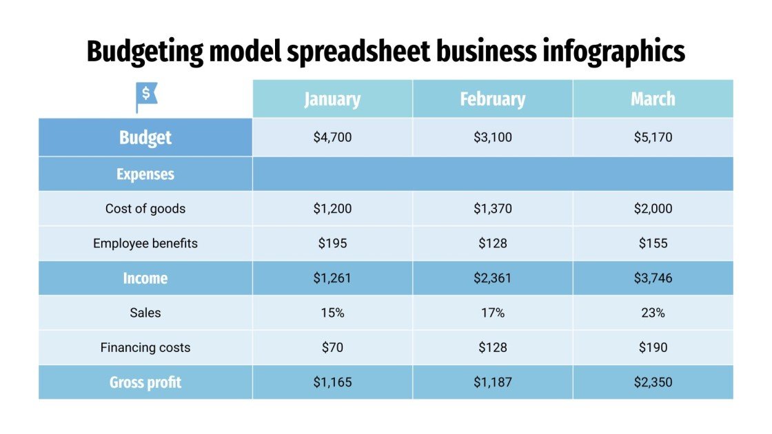 Budgeting Model Spreadsheet Business Infographics