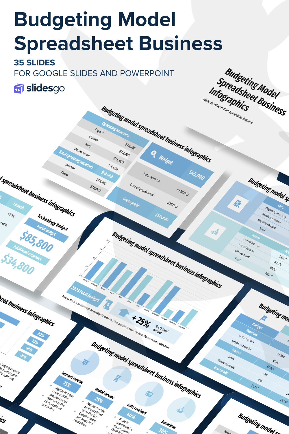 Budgeting Model Spreadsheet Business Infographics