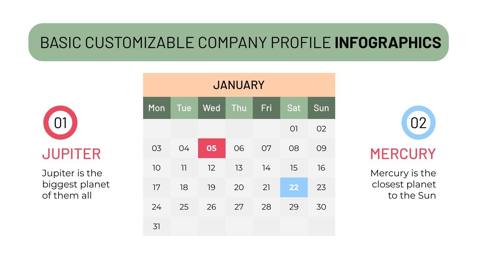 Basic Customizable Company Profile Infographics | Google Slides