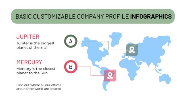 Basic Customizable Company Profile Infographics | Google Slides