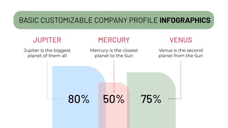 Basic Customizable Company Profile Infographics | Google Slides