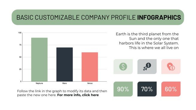 Basic Customizable Company Profile Infographics | Google Slides