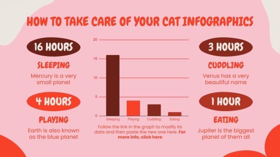 How to Take Care of Your Cat Infographics | Google Slides