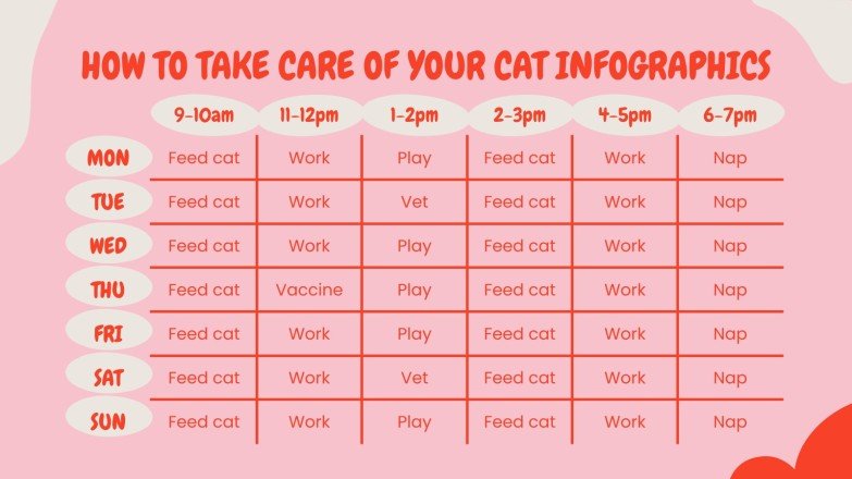 How to Take Care of Your Cat Infographics | Google Slides