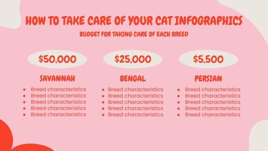 How to Take Care of Your Cat Infographics | Google Slides