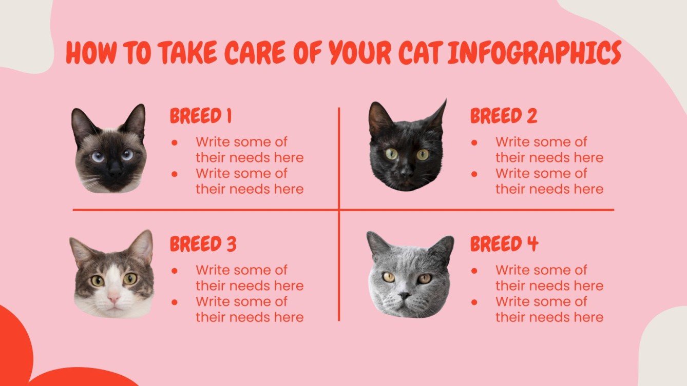 How to Take Care of Your Cat Infographics | Google Slides