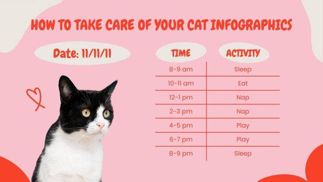 How to Take Care of Your Cat Infographics | Google Slides