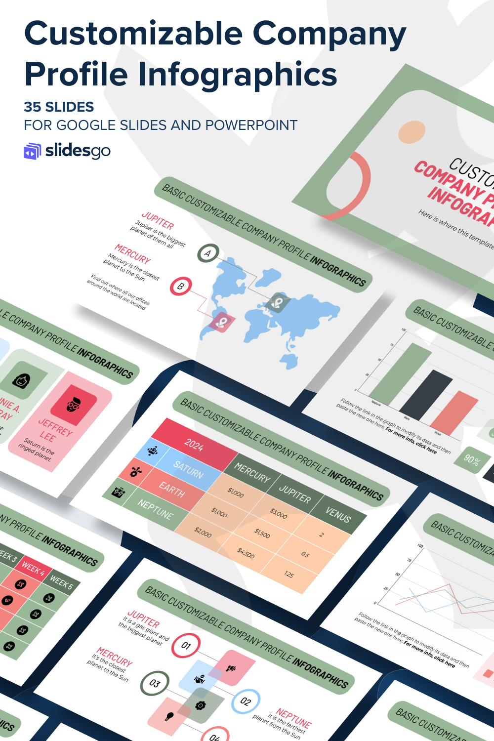 Basic Customizable Company Profile Infographics | Google Slides