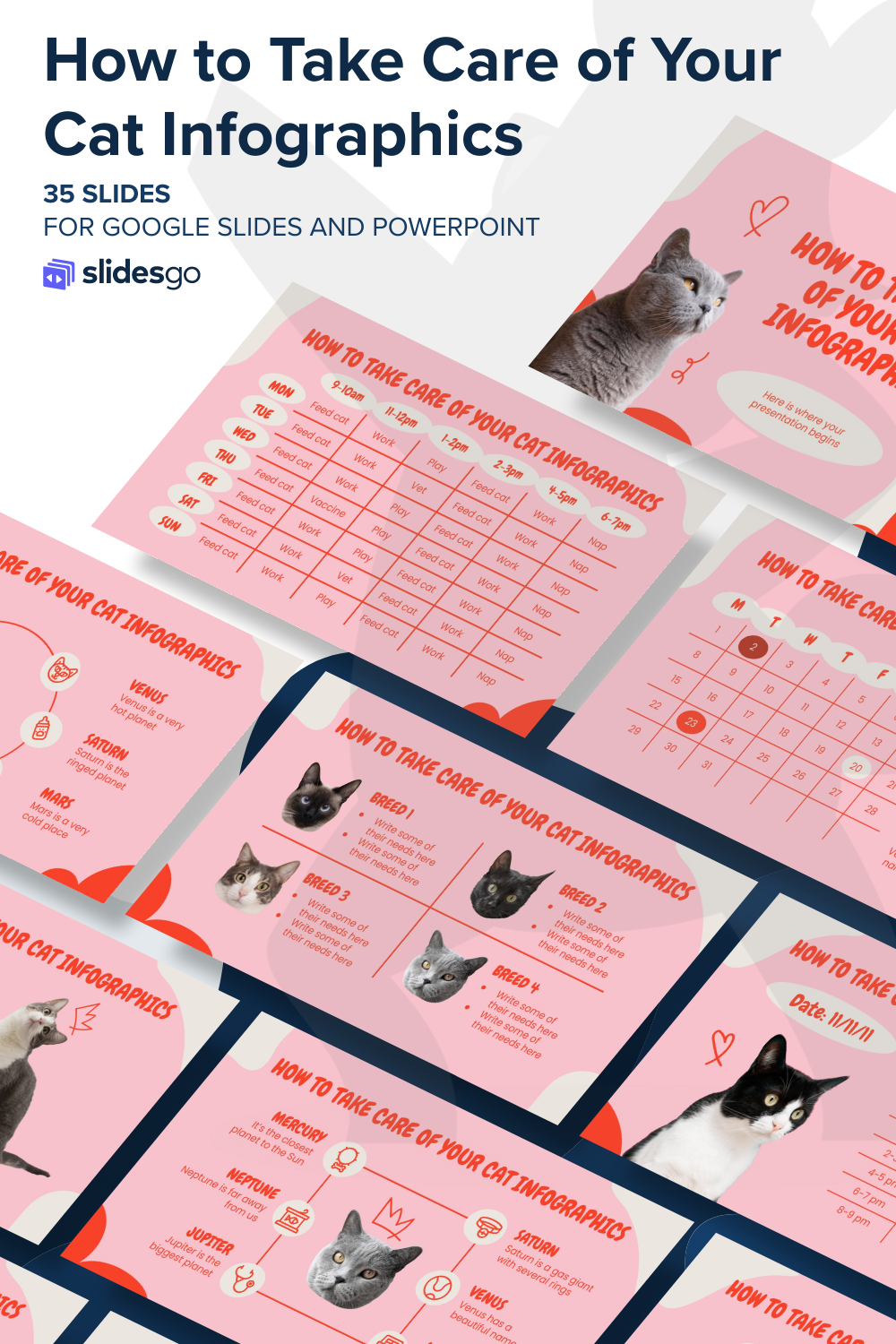 How to Take Care of Your Cat Infographics | Google Slides
