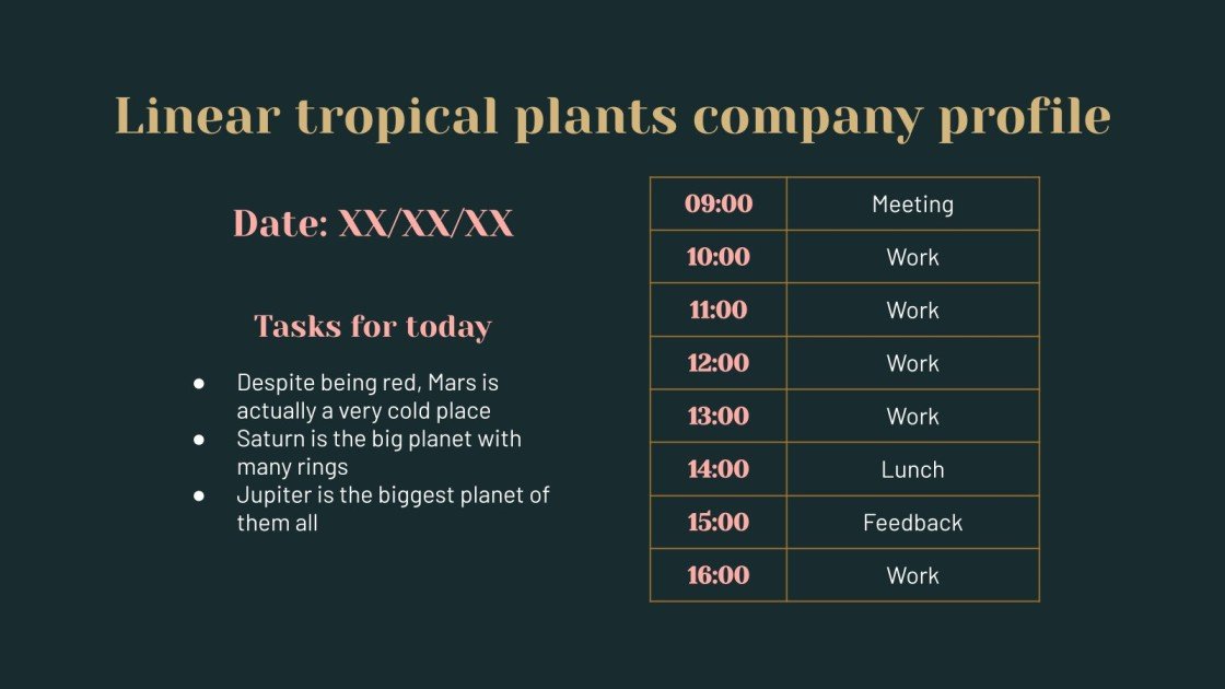 Linear Tropical Plants Company Profile Infographics