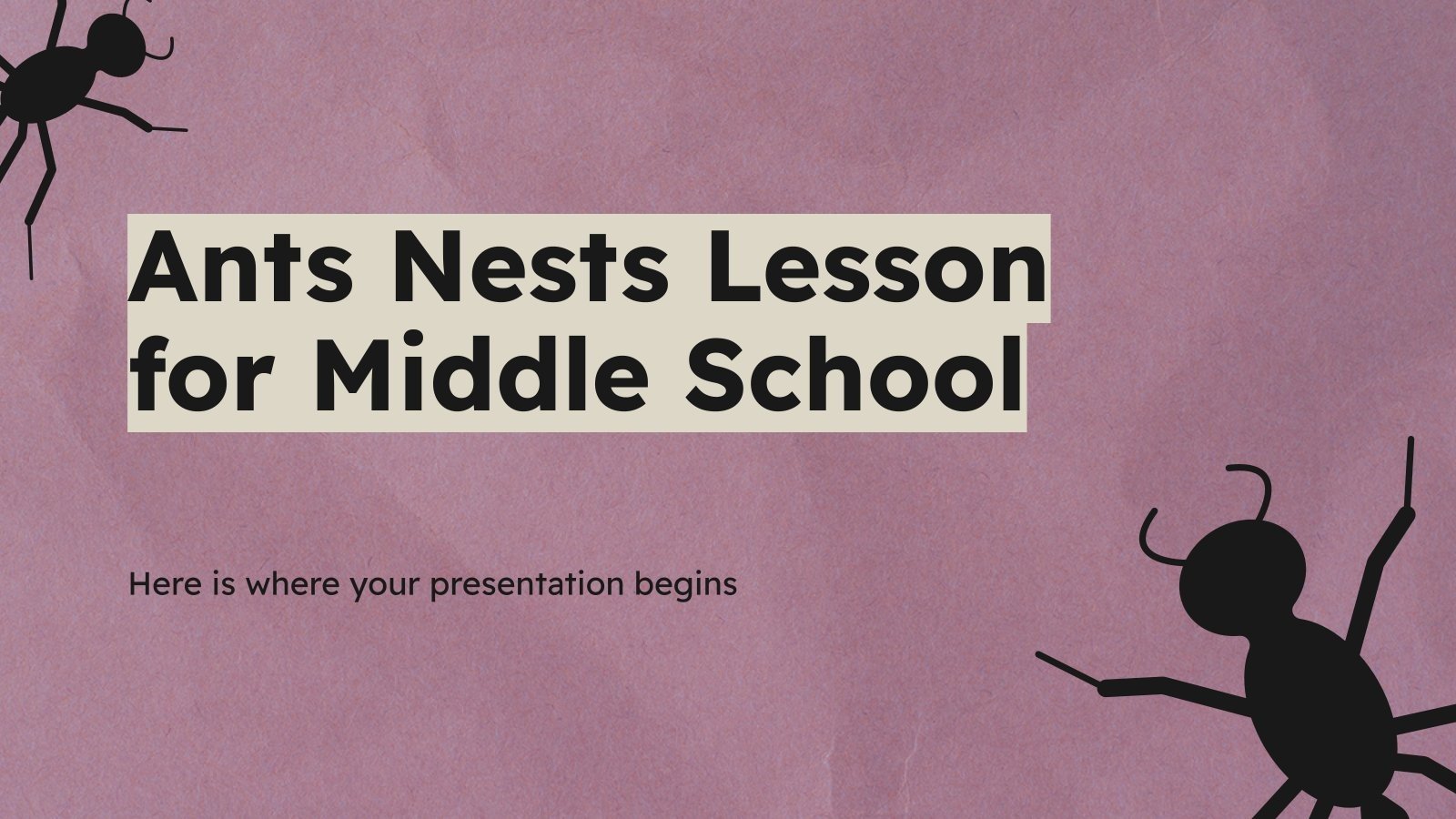 Ants Nests Lesson for Middle School | Google Slides & PPT