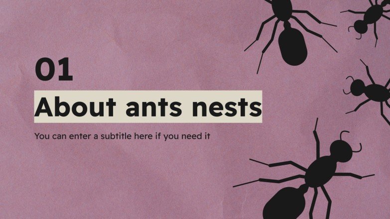 Ants Nests Lesson for Middle School | Google Slides & PPT