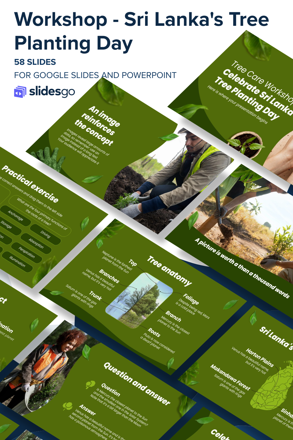 Tree Care Workshop to Celebrate Sri Lanka's Tree Planting Day