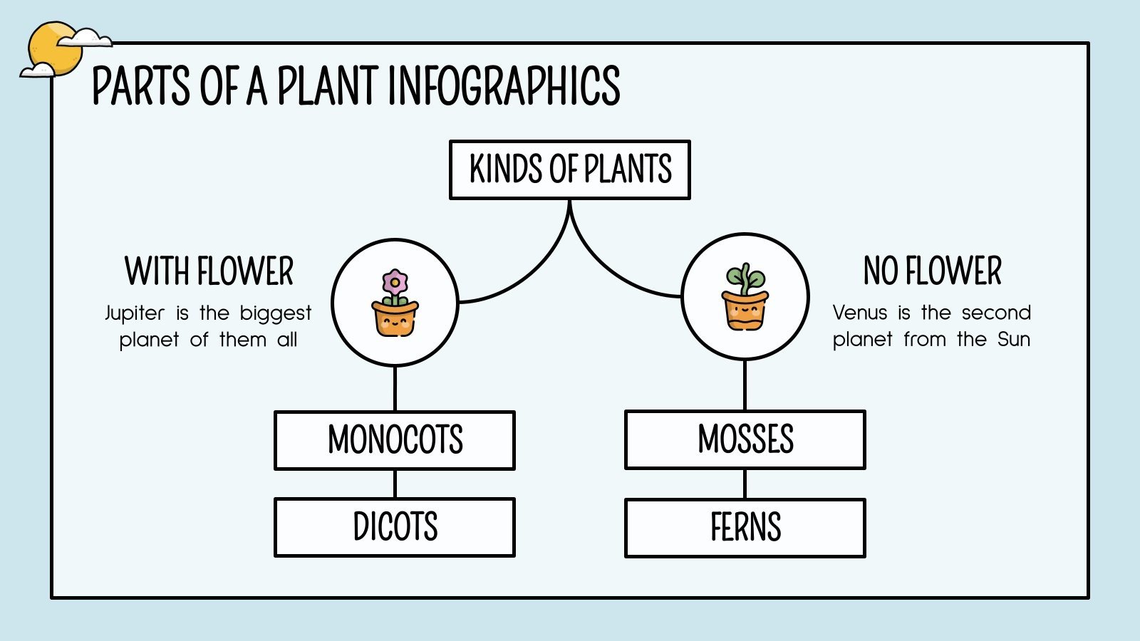Biology Subject for Pre-K: Parts of a Plant Infographics