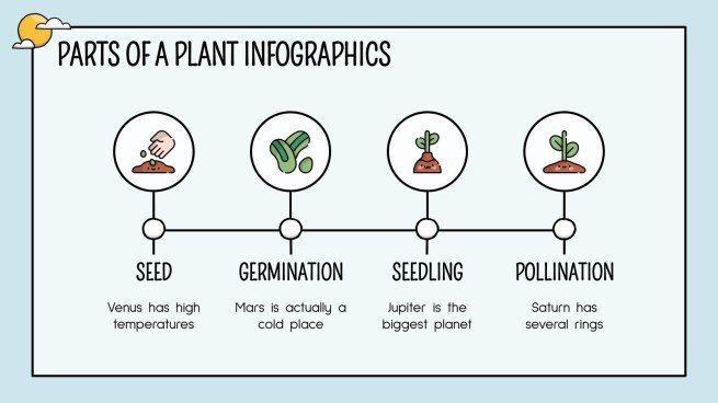 Biology Subject for Pre-K: Parts of a Plant Infographics