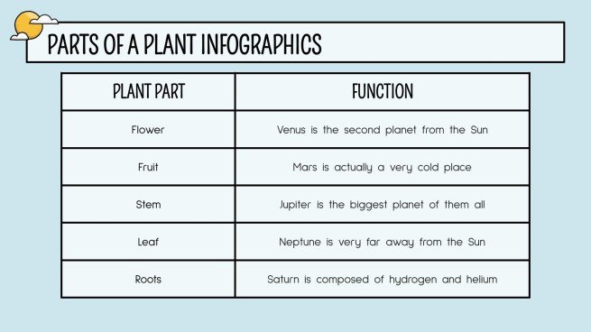 Biology Subject for Pre-K: Parts of a Plant Infographics