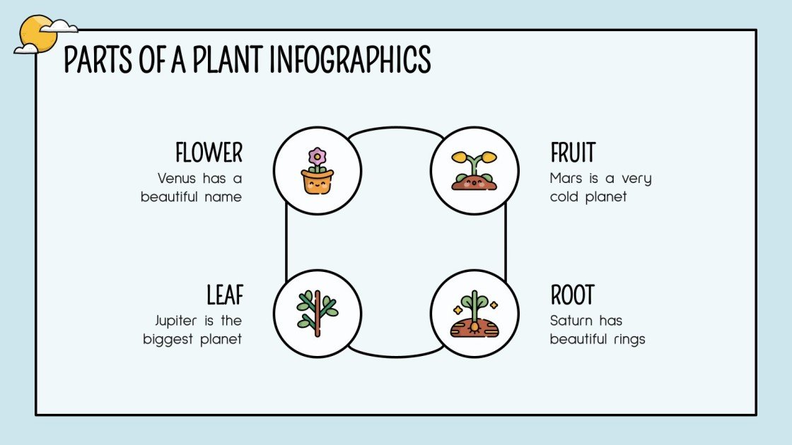 Biology Subject for Pre-K: Parts of a Plant Infographics