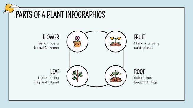 Biology Subject for Pre-K: Parts of a Plant Infographics