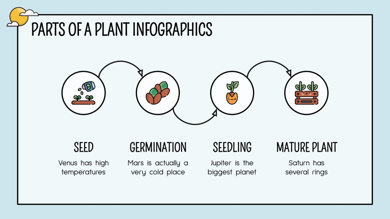 Biology Subject for Pre-K: Parts of a Plant Infographics