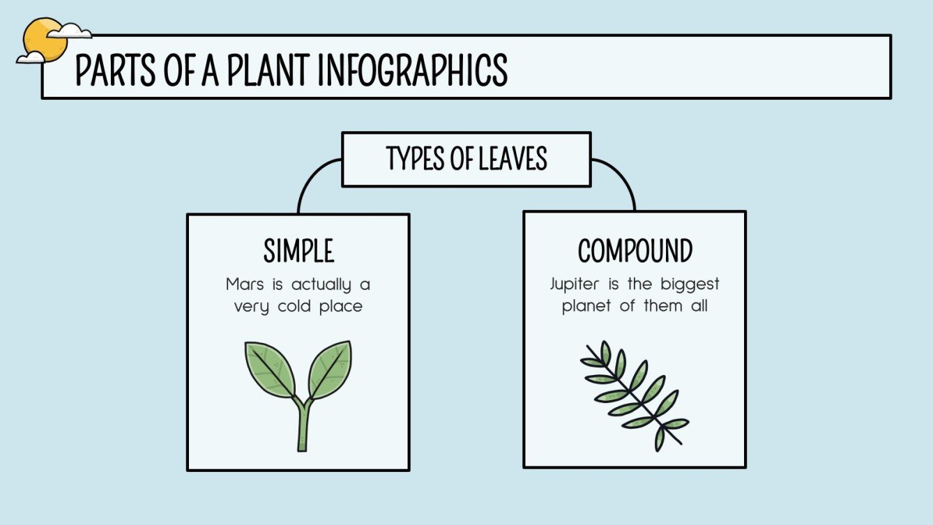 Biology Subject for Pre-K: Parts of a Plant Infographics