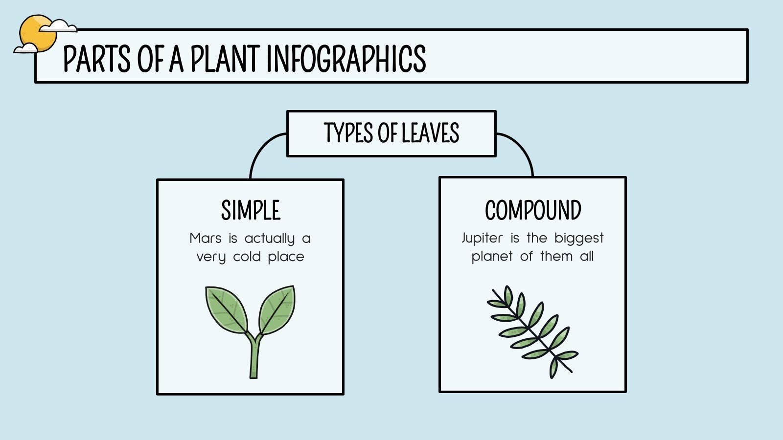Biology Subject for Pre-K: Parts of a Plant Infographics
