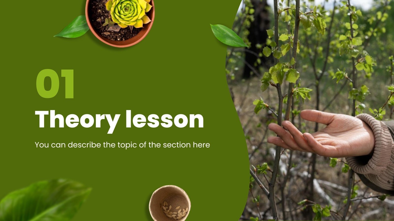 Tree Care Workshop to Celebrate Sri Lanka's Tree Planting Day