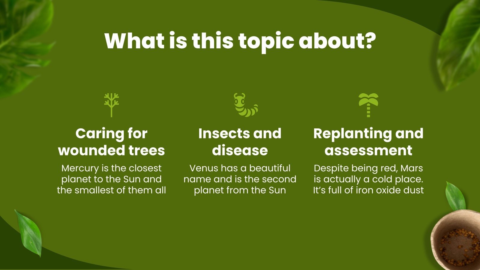 Tree Care Workshop to Celebrate Sri Lanka's Tree Planting Day